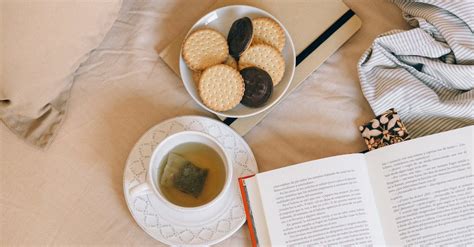 실내 가정의 고요한 공책 담요 독서하는 따뜻한 따뜻한 음료 라이프스타일 레저 베이지 부드러운 비스킷 스낵 아늑한 아늑한 구석 아침 루틴
