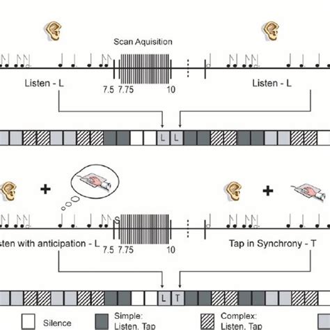 Representation Of The Fmri Sparse Sampling Protocol In Experiment 1 Download Scientific