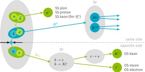 schematic representation of the ft algorithms available at lhcb