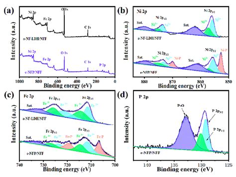 Xps Analysis A Xps Survey Spectra Of A Nf Ldhnff And E Nfpnff And