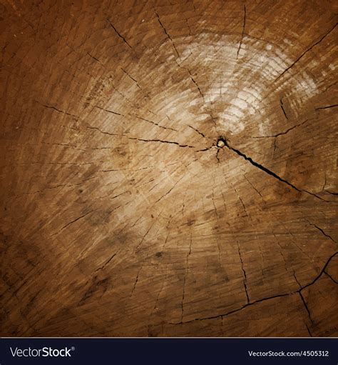 Wood Tree Rings Texture Royalty Free Vector Image