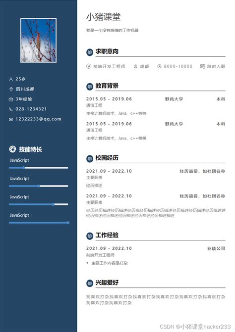 开源啦！一款基于vue3 Vite Ts的简历制作神器~~vue 写简历 Csdn博客