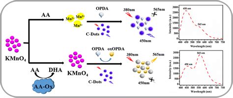 一种测定抗坏血酸和抗坏血酸氧化酶活性的基于碳点的比率荧光比色法 Microchimica Acta X Mol