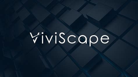 Understanding The Custom Software Cost Viviscape