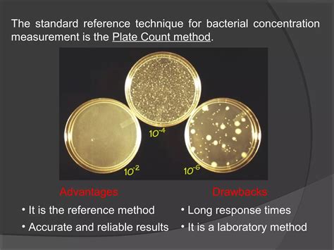 A Portable Biosensor System For Bacterial Concentration Measurement In Liquid And Semi Liquid