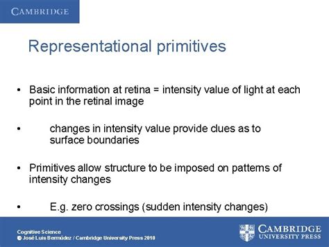 Chapter 2 Marrs Theory Of Vision Overview Introduce