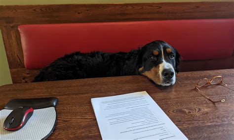 Beyond Duration And Convexity Eight Ways To Bond With Clients Cfa Institute Enterprising Investor