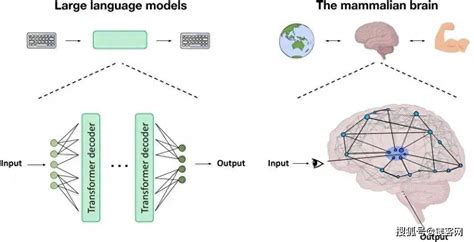 Ai越来越像人脑？神经科学家们有话要说…… 人工智能 电脑百科 简易百科