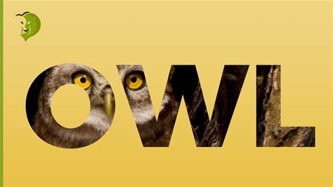 How To Create Clipping Mask In Photoshop Create Clipping Mask Clipping Mask Photoshop