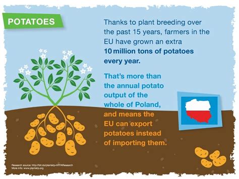 The Environmental Benefits Of Potato Breeding Potatopro