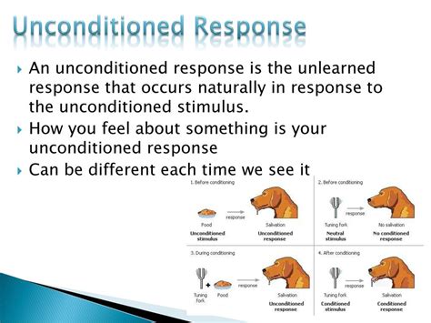 Behavioral Psychology Theory Ppt Download