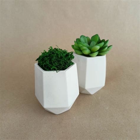 Декоративные кашпо из гипса стабилизированный мох и суккулент
