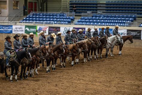 Stoppin Steers At The Hackamore Classic Horse And Rider