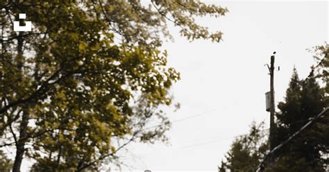 검은 긴 소매 셔츠와 회색 데님 청바지를 입은 남자가 회색 콘크리트 도로에 앉아 사진 Unsplash의 무료 소매 이미지