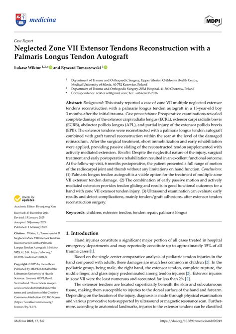 Pdf Neglected Zone Vii Extensor Tendons Reconstruction With A Palmaris Longus Tendon Autograft