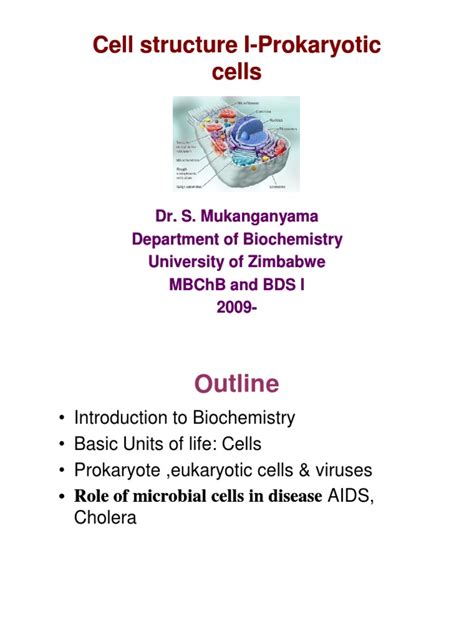 Cell Structure Compatibility Mode Download Free Pdf Cell Biology