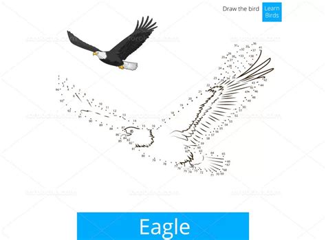 وکتور نقاشی نقطه ای عقاب گرافیک با طعم تربچه