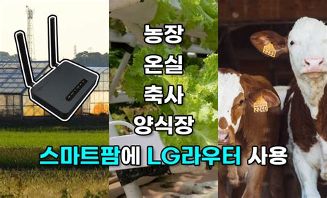 스마트팜 원격제어 Cctv모니터링을 위한 라우터 설치 한눈에보기