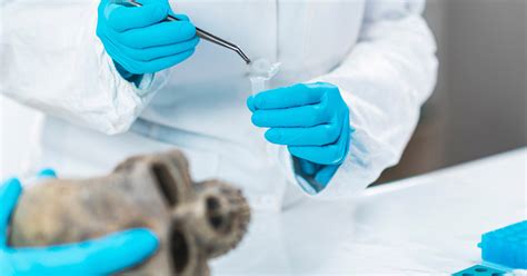 Scientists Discover Ancient Species Of ‘big Headed Humans In Asia