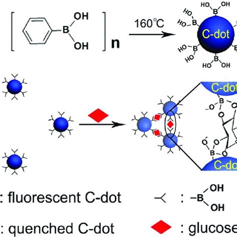 A Formation Of Boronic Acid Functionalized Carbon Dots And B