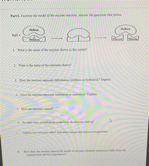 Solved Enzyme Lab Part I Examine The Model Of The Enzyme Reaction Course Hero
