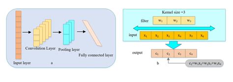 a the basic structure of 1 dimensional convolution neural network b download scientific
