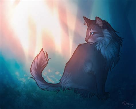 Warrior Cat Drawings Bluestar
