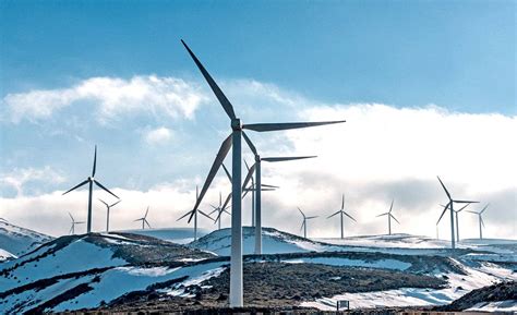 Weather Dependent The Columnist