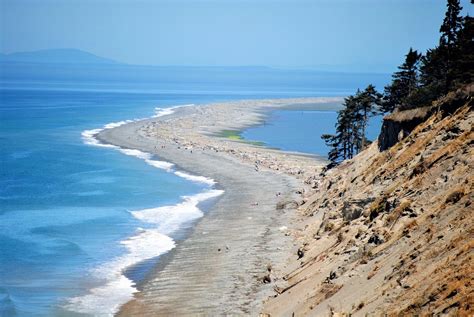 The 10 Best Sequim Farms 2026 Tripadvisor
