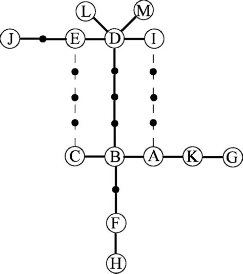 unrooted haplotype network developed using maximum parsimony and the download scientific