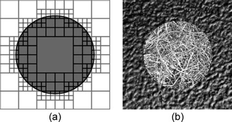 a multiscale representation of a two texture image two homogeneous download scientific