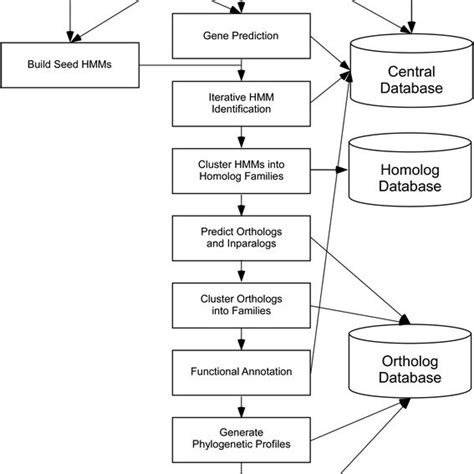flowchart of steps for prediction of reference hmm model families