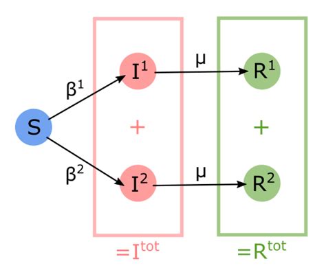 Compartments Of The Two Strains Epidemic Models Introduced In The Paper