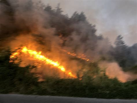 Голям пожар край Симеоновград снимки