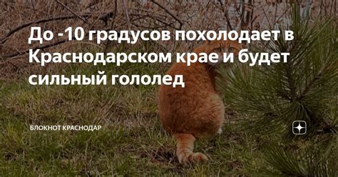 До 10 градусов похолодает в Краснодарском крае и будет сильный гололед Блокнот Краснодар Дзен