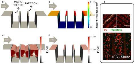 Computational Fluid Dynamic Optimization Of Micropatterned Surfaces