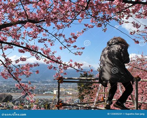 A Man Under The Sakura Tree Editorial Photo Image Of Japanese Lonely 123035231