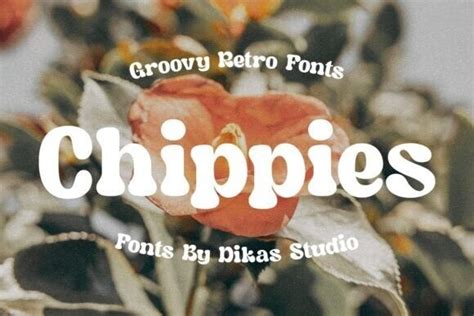 Chippies Font Free Font