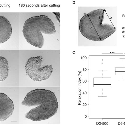 Spheroids Accumulate Growth Induced Solid Stress A Representative