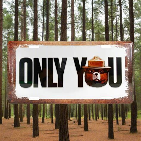 Only You Can Prevent Wildfires Smokey The Bear Vanity License Plate