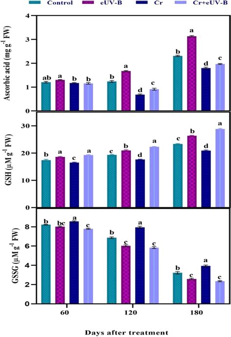 Ascorbic Acid Asa Reduced Glutathione Gsh And Oxidized