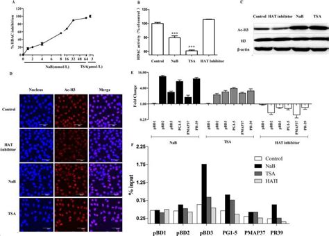 Amplite® Fluorimetric Hdac Activity Assay Kit Green Fluorescence Aat Bioquest