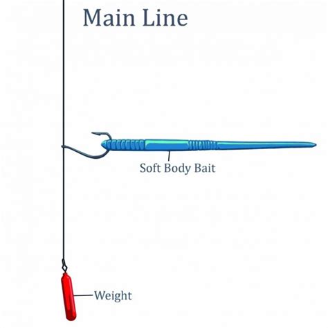 The Ultimate Guide To The Drop Shot Rig For Bass Fishing FishRook