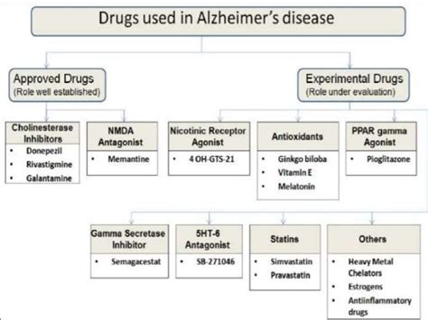 Screening Of Anti Alzheimers