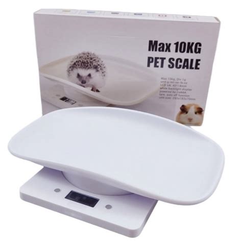 고양이 체중계 추천 제품 10가지 체중 관리가 필요하다면 비마이펫 라이프