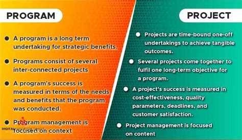 application vs program understanding the key differences and choosing