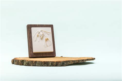 세련된 거실 인테리어와 식물 성 베이스 릴리프 소나무 가지와 목재 플랫폼에 원뿔 디자인 Xmas 장식 3d 식물 석고 장식 객실의 현대적이고 고급스러움있는 인테리어 0명에