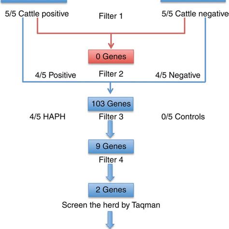 Sequence Of Filtering And Analysis Of Wes Data Using An Autosomal