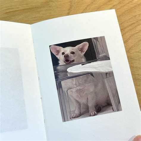 픽셀 퍼 인치 너무나 귀여운 책이라 한참을 보고 미소짓게 만든 책 김로로 작가님의 Boi 새롭게 입고되었습니다 어떤 순간에도 우리 곁에 있는 귀엽고 믿음직한