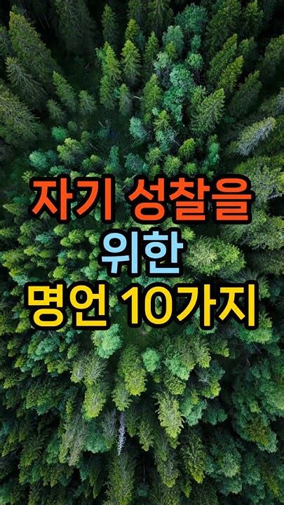 자기 성찰을 위한 명언 10가지 자기성찰 내면탐색 자아인식 자기인식 자기발견 내면의여정 자기반성 내면성장 자아